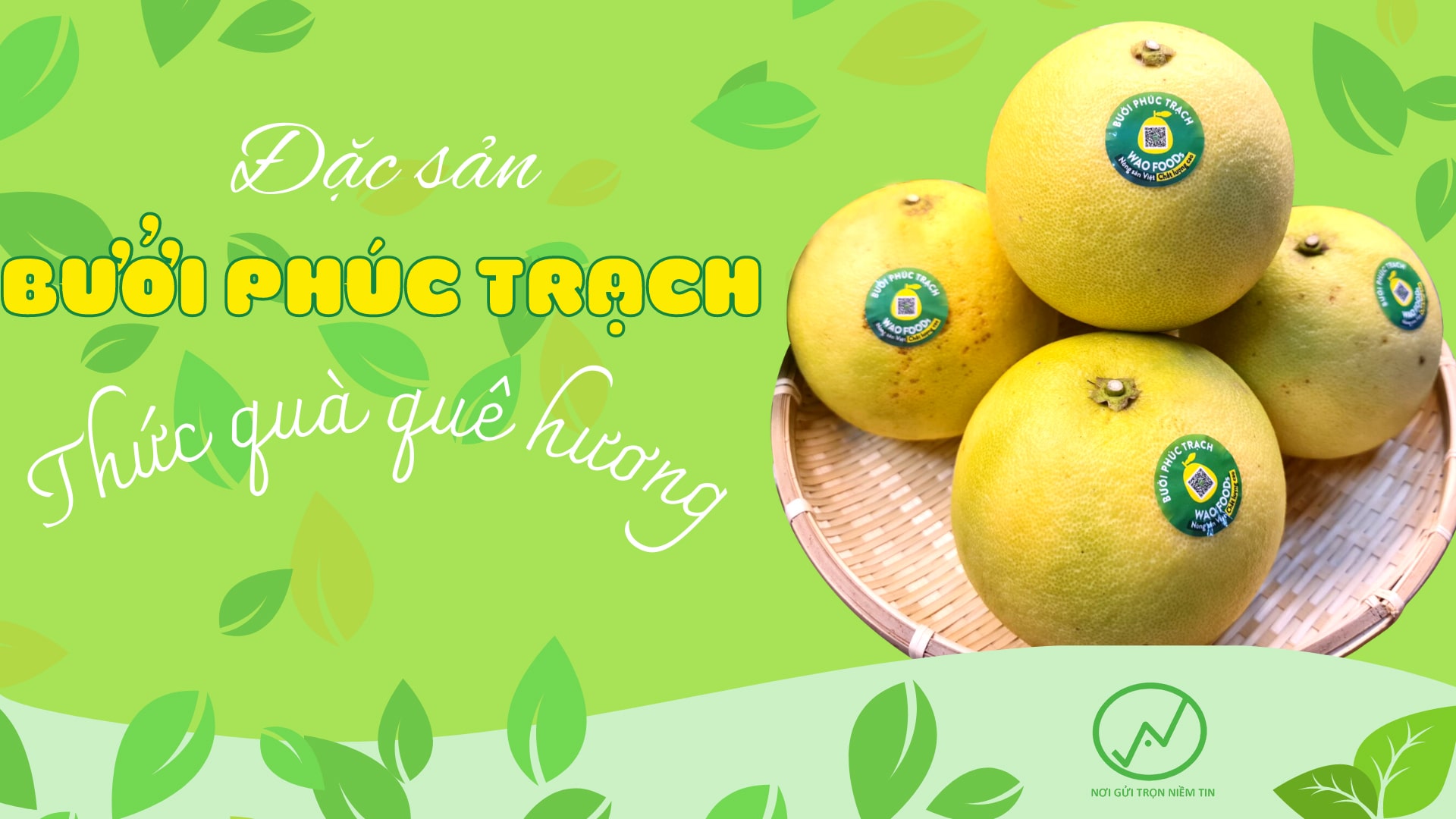 BƯỞI PHÚC TRẠCH CHẤT LƯỢNG CAO WAO FOODs – WAO – Hồi sinh sự sống cho ...