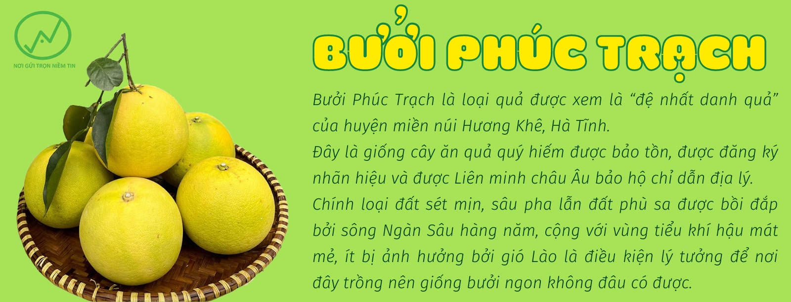 BƯỞI PHÚC TRẠCH CHẤT LƯỢNG CAO WAO FOODs – WAO – Hồi sinh sự sống cho ...